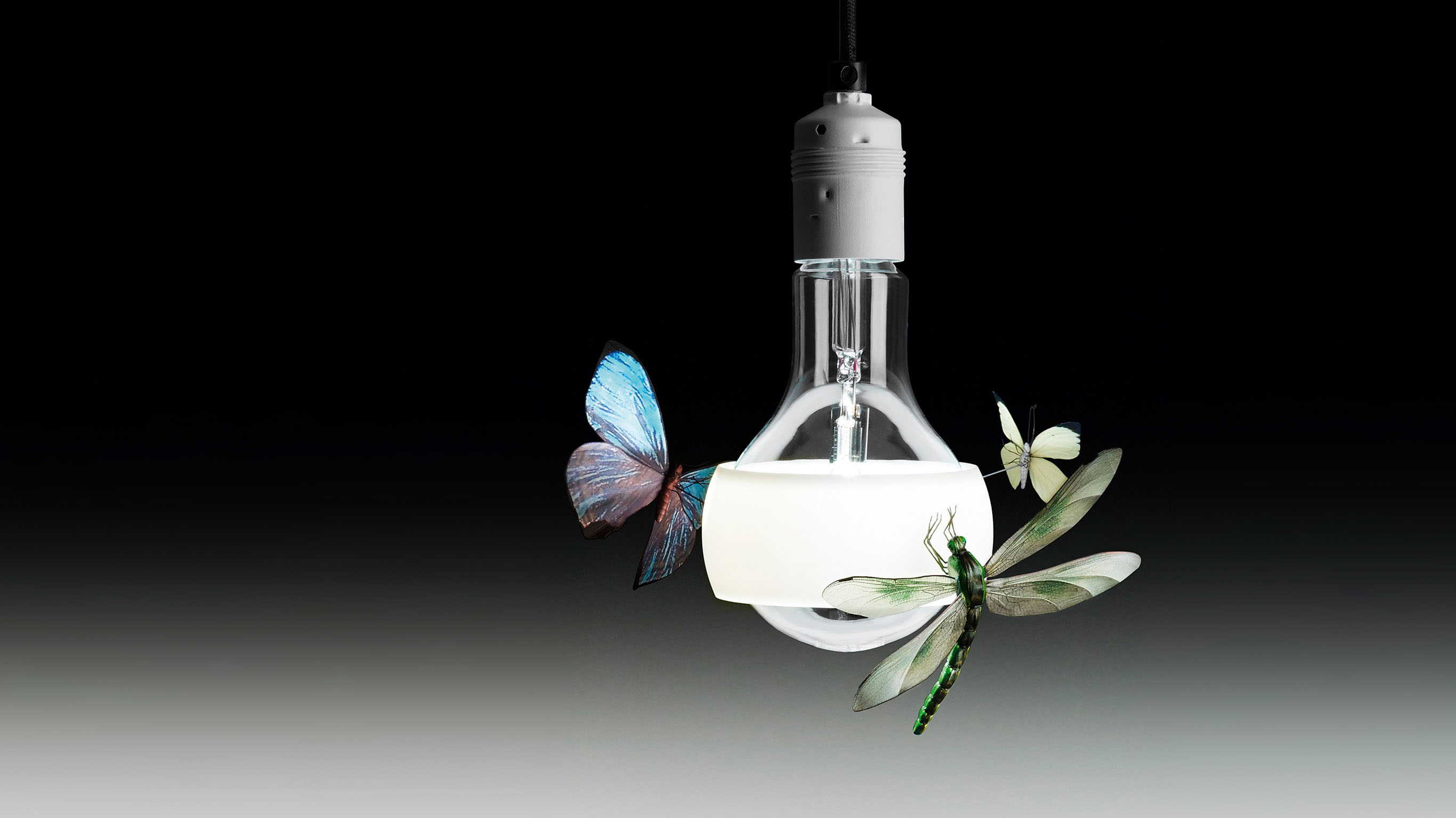 INGO MAURER｜ABOUT BRAND｜Studio NOI｜スタジオノイ